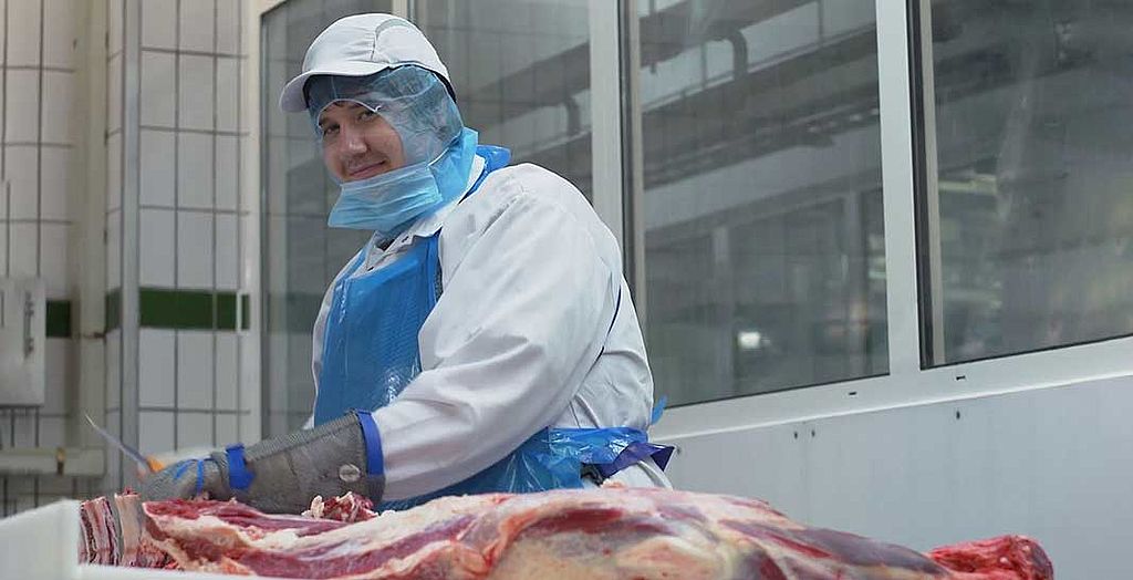 Ausbildungsberufe - Werken bij Vion